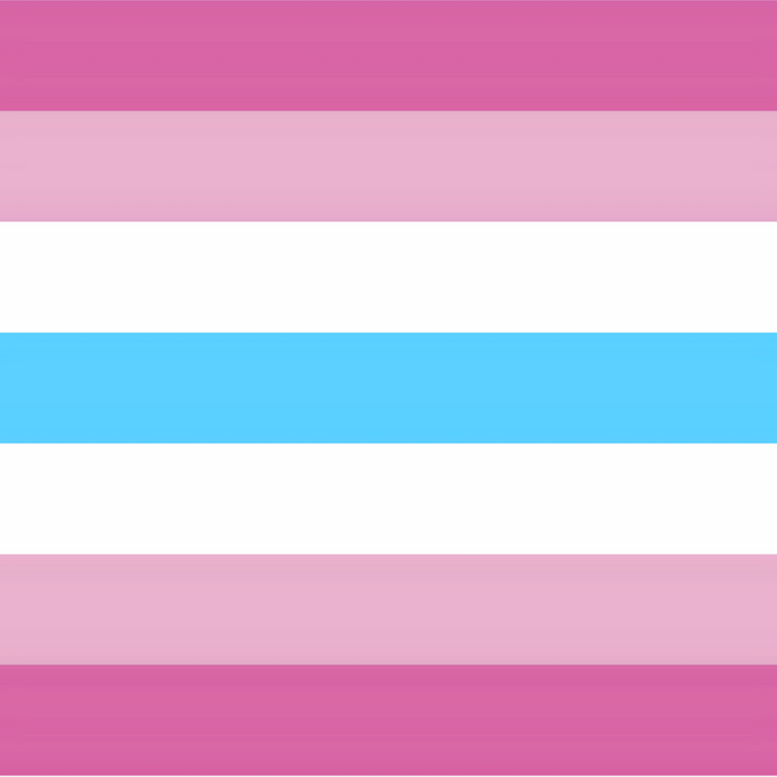 3 Pack - Gay Femboy Banner Flag | Feminizing World