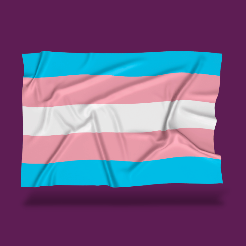 3 Pack - Gay Femboy Banner Flag | Feminizing World
